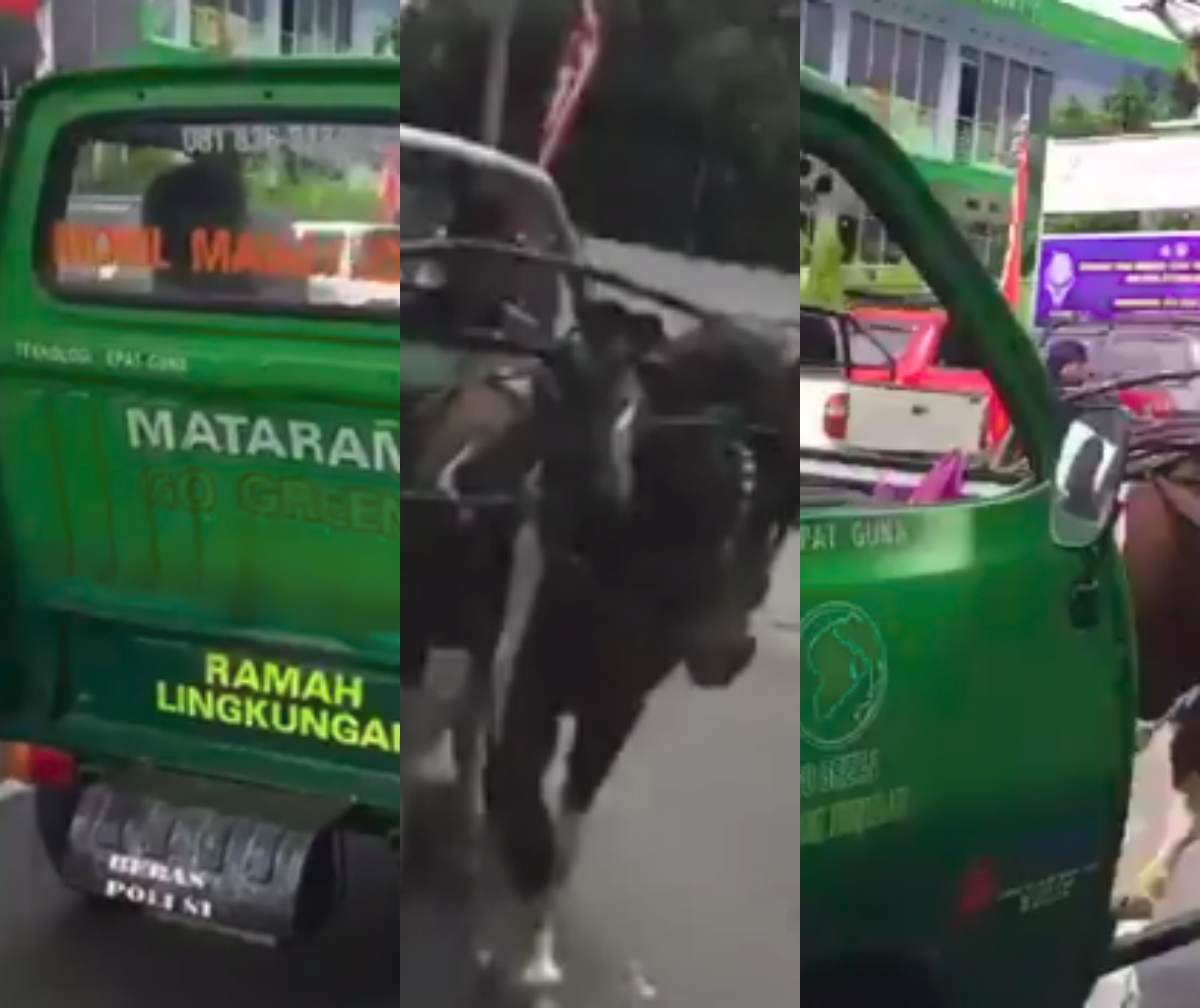 Mobil ‘horsepower’ ramah lingkungan di Mataram, pakai tenaga kuda ...